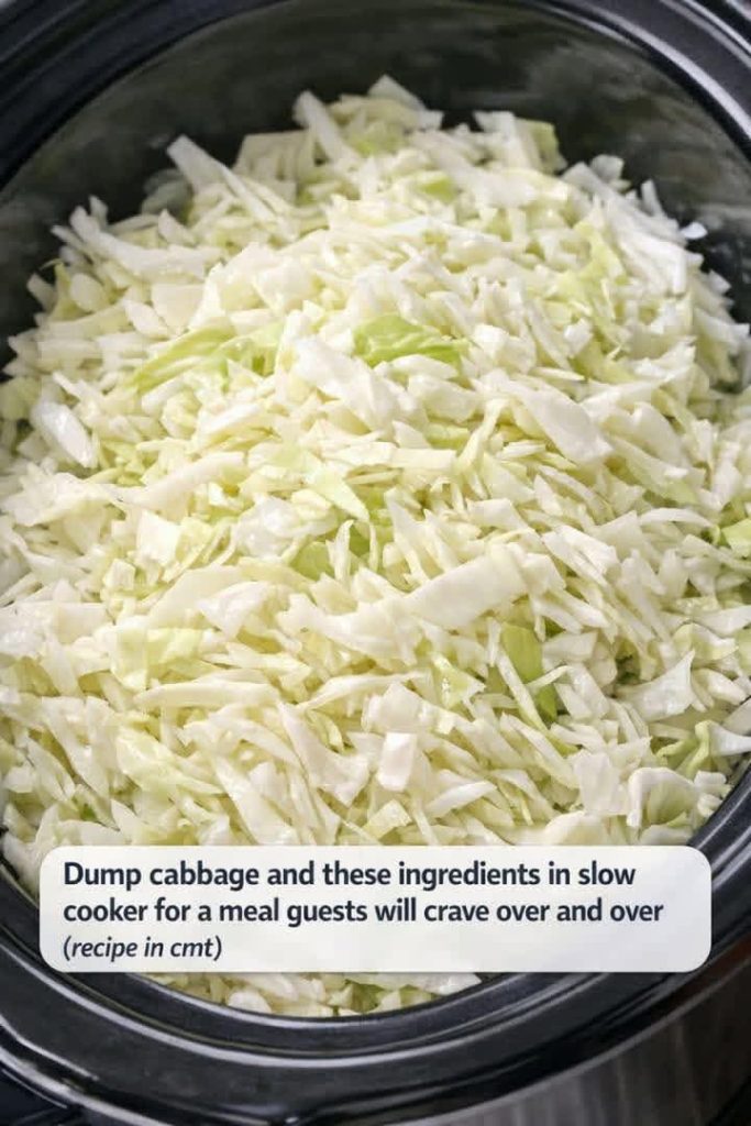 Slow Cooker Dump and Go Smoky Sausage & Cabbage Dinner – Cookbook